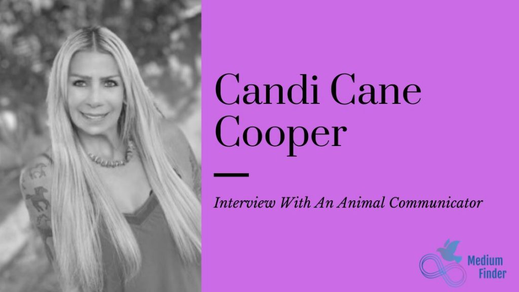 Interview with Animal Psychic/Communicator Candi Cane Cooper ...